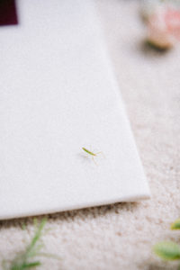 5 Tips on Wedding Flat Lays - kristiphillipsphotography.com