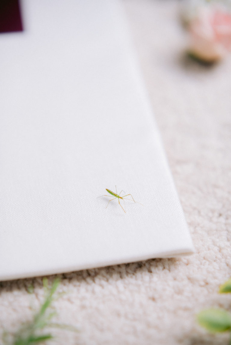 5 Tips on Wedding Flat Lays - kristiphillipsphotography.com